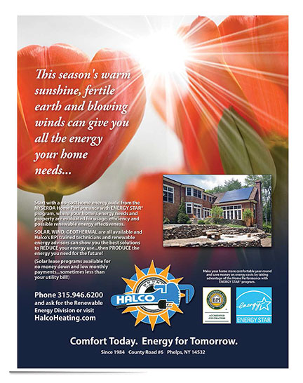 Halco-ad2 | Andrea Reeves